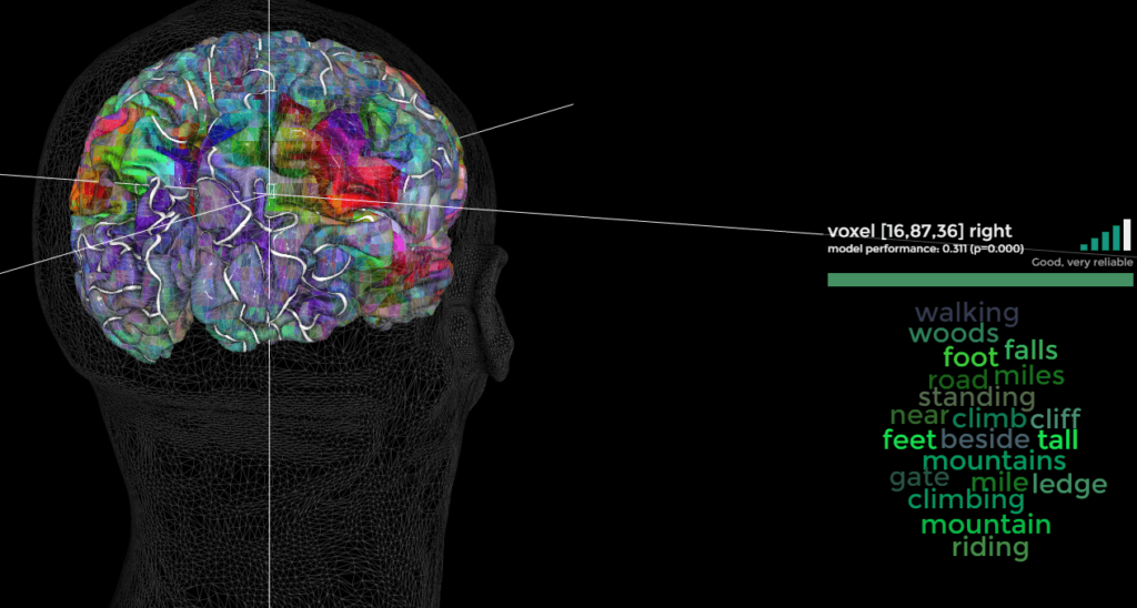 Berkeley Neuroscientists Create Amazing Interactive 'Brain Atlas ...