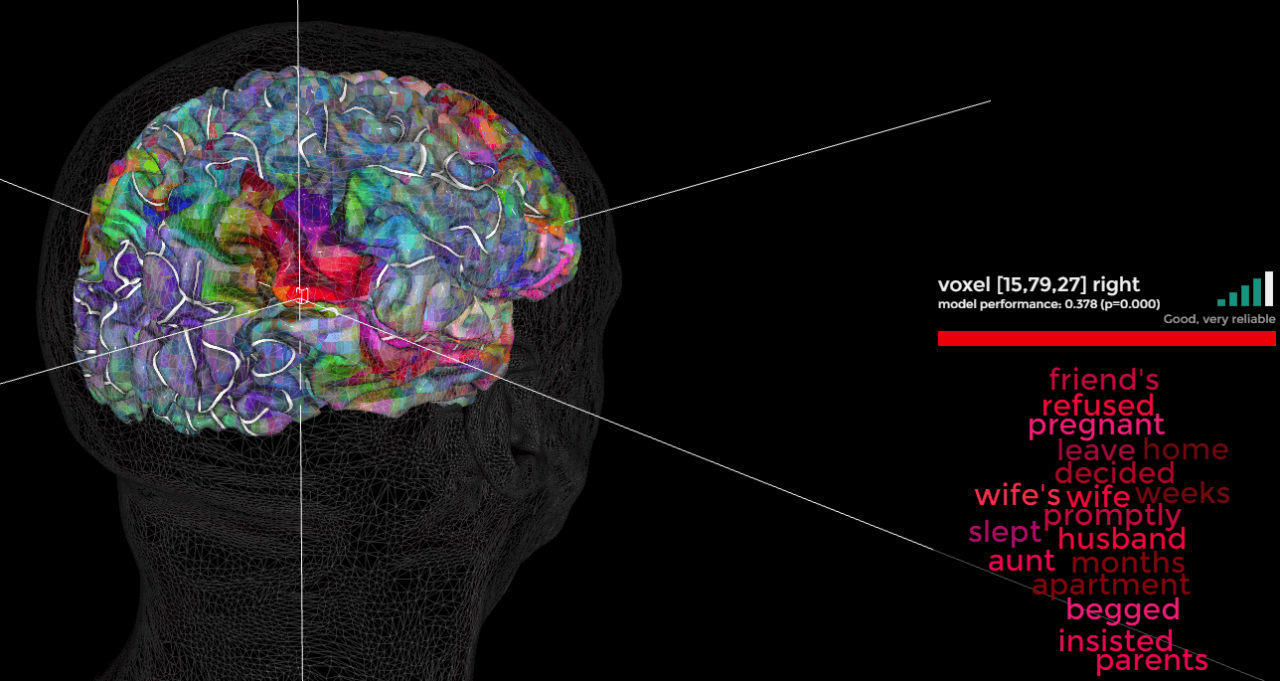 Berkeley Neuroscientists Create Amazing Interactive 'Brain Atlas ...
