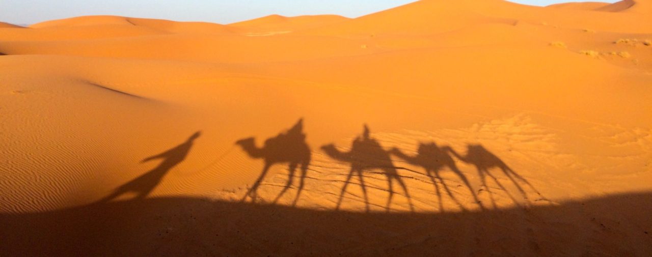 History of the Arabic Language | Today Translations